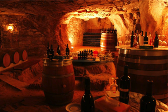 Les Vignerons de Carthage | Découvrez les vins fins de Tunisie
